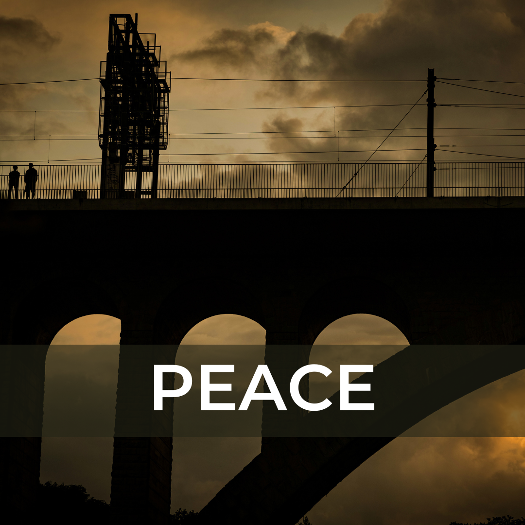 Impact Themes - Sustainable Finance Geneva